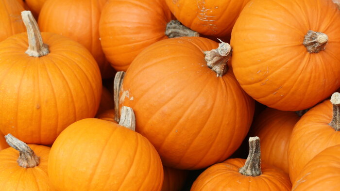 Is a Pumpkin a Fruit or a Vegetable?